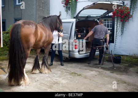 Farrier with a mobile blacksmith van shoeing a horse in an agricultural ...