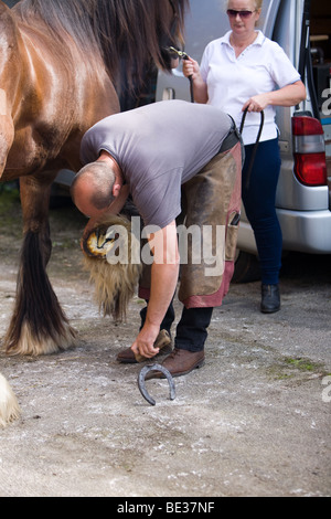 Farrier with a mobile blacksmith van shoeing a horse in an agricultural ...