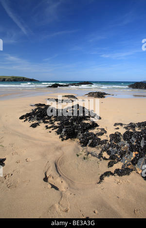 Harlyn Bay - surfing beach - late summer with life saving board, North ...