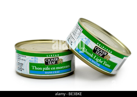 Tinned Chunk Light Tuna in Water Stock Photo - Alamy