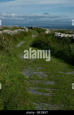 Ireland, Aran Islands, Inis Mor, Kilronan: aerial view of the town ...