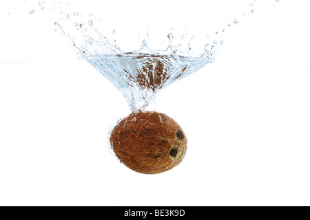 Coconut plunging into water Stock Photo - Alamy