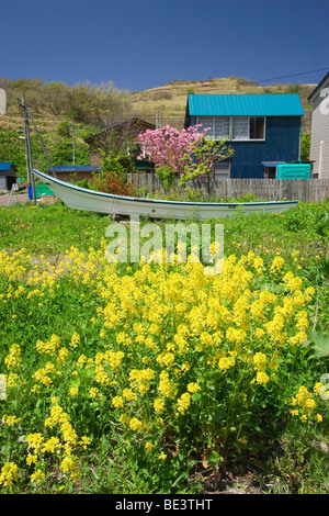 Shimamui Coast, on the Shakotan Peninsula, is designated as one of ...