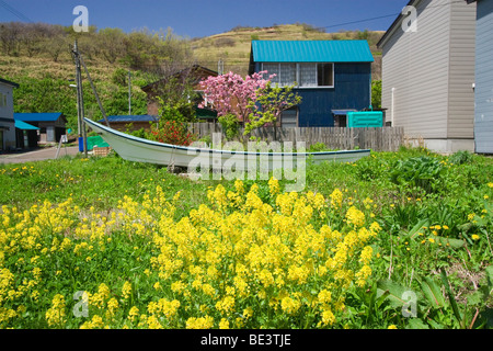 Shimamui Coast, on the Shakotan Peninsula, is designated as one of ...