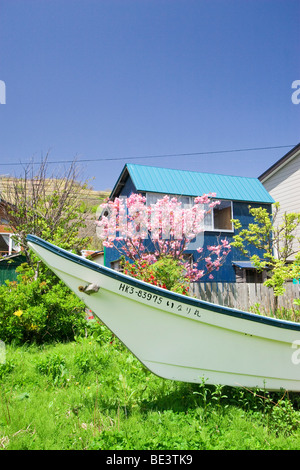 Shimamui Coast, on the Shakotan Peninsula, is designated as one of ...