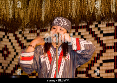 An Ainu woman plays a traditional stringed instrument - the Tonkori ...
