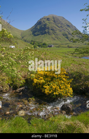 Stream at Dalness, Glen Etive, Buachaille Etive Mor to rear, Highland ...