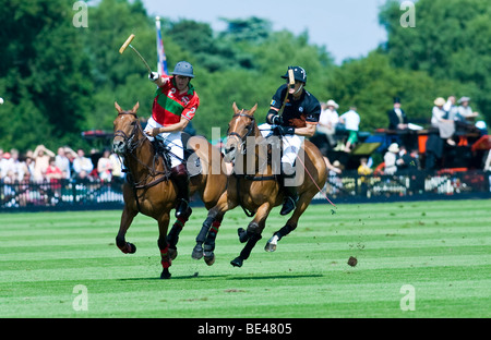 Polo players in action Stock Photo - Alamy