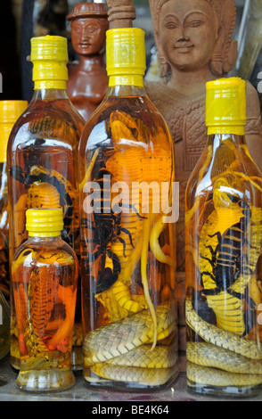 Exotic asian drink with snakes Stock Photo - Alamy
