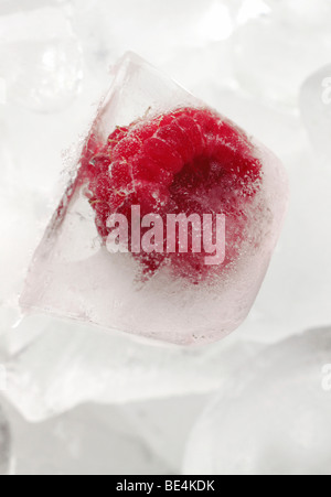 Raspberries, froze, Still life, close up, berries, fruit, fruits ...
