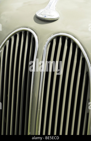 Ford Popular car badge on restored vehicle UK Stock Photo - Alamy