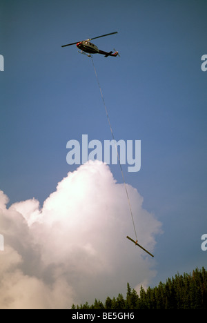heli-logging, British Columbia, Canada / helicopter-logging Stock Photo ...