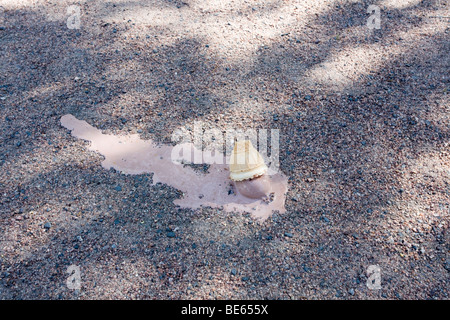 dropped icecream cone on ground Stock Photo - Alamy