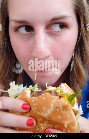 fast food, greasy, cheeseburger, fastfood, greasies, burger, burgers ...