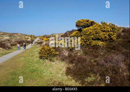 Walking Murlough Nature Reserve County Down Northern Ireland Stock ...