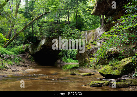 Sandstone arch in the Clifty Wilderness Red River Gorge Geological Area ...