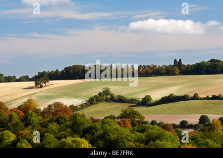 Hughenden Valley, High Wycombe, Buckinghamshire Stock Photo - Alamy