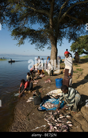 Fish market, lake Awassa, Ethiopia Stock Photo - Alamy