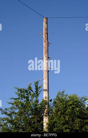 Wooden telegraph pole / pylon England , UK Stock Photo - Alamy