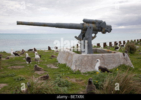 Midway Atoll 5 Inch Naval Gun associated with the naval air station on ...
