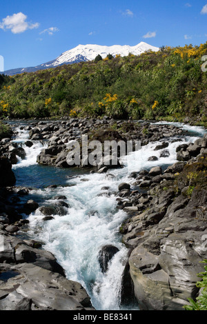Tongariro River Central Plateau, New Zealand Stock Photo - Alamy