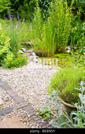 A corner of the Wildlife Friendly Garden at the TWIGS gardens in ...