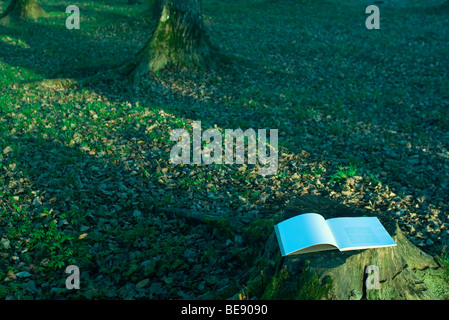 an open book on a tree stump in the park, sunny day, greenery in the ...