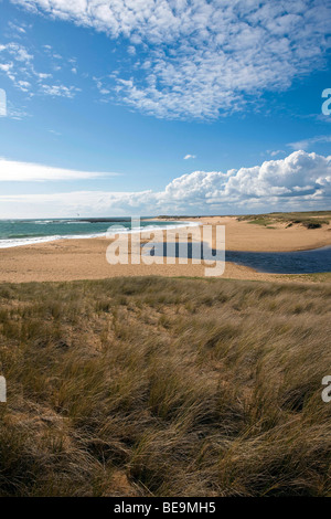 Erdeven (56): The dunes Stock Photo - Alamy