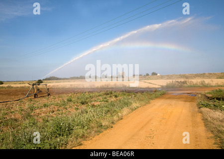 Irrigation sprayer Suffolk England Stock Photo - Alamy