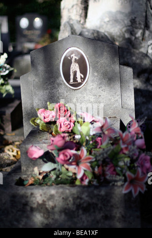 Headstone in a pet cemetery and pet burial ground in Jesmond Dene in ...
