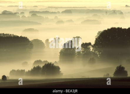 Bocage landscape at foggy morning, Flemish Ardennes, Belgium Stock ...