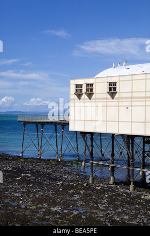 Royal Pier at Aberystwyth Stock Photo - Alamy