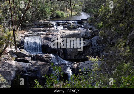 Agnes Falls, Agnes Falls Reserve. Victoria, Australia. Near Toora Stock ...