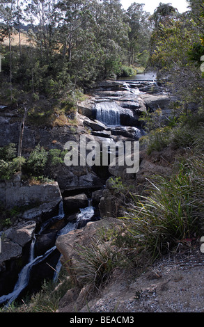 Agnes Falls, Agnes Falls Reserve. Victoria, Australia. Near Toora Stock ...