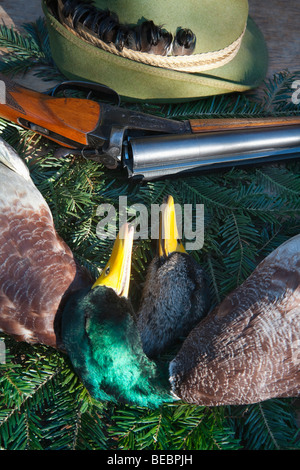 Hunting still life Stock Photo - Alamy