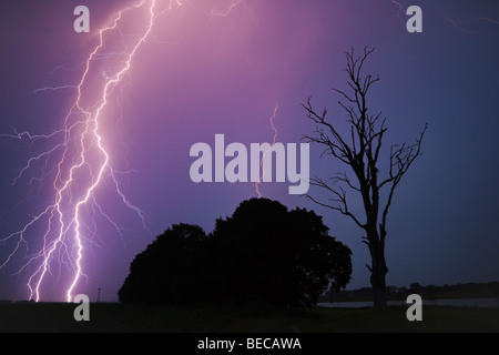 Lightning striking the ground, trees next to a dead tree Stock Photo ...