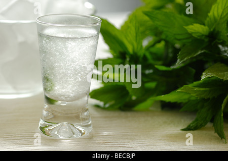 Chilled mastika alkohol with aniseed flavour (tastes like greek ouzo ...