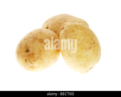 Maris Peer Potato Stock Photo - Alamy