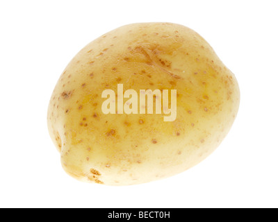Maris Peer Potato Stock Photo - Alamy