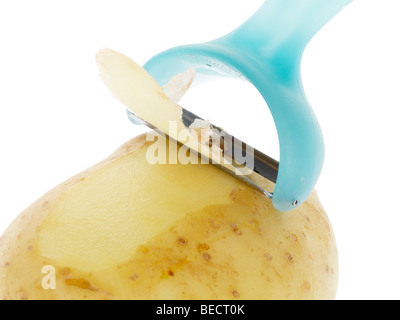 Maris Peer Potato Stock Photo - Alamy