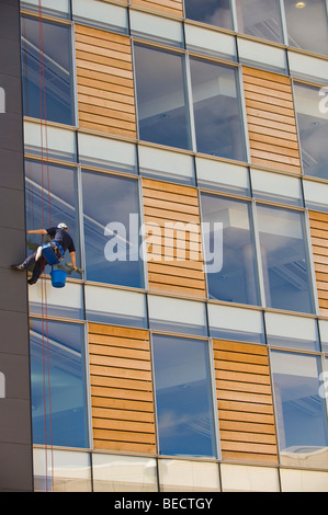 A window cleaner using abseil ropes to clean the windows of an glass ...