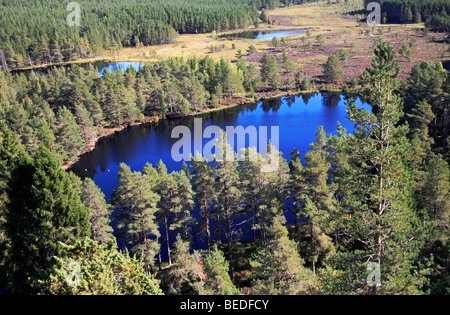 View of Uath Lochans from Farleitter Crag, near Aviemore, Inverness ...