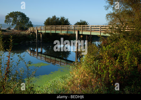 Autumn dawn on the River Stour at the EyeBridge, Pamphill nr. Wimborne ...