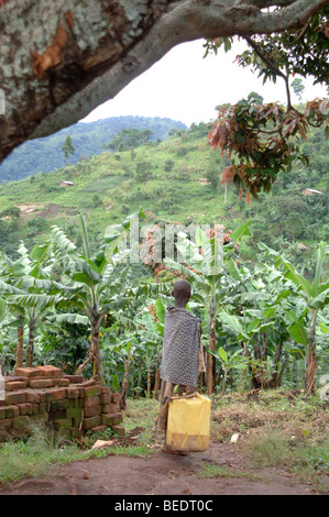 Bakonzo, Rwenzori Mountains, West Uganda, Africa Stock Photo - Alamy
