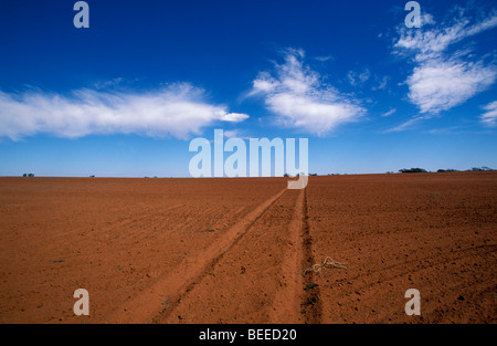 Ploughed Paddock and Tire Tracks waiting for rain Moulamein District ...