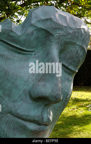 The Fallen Deodar sculpture by Jilly Sutton Stock Photo - Alamy