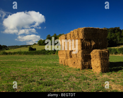 stack of straw bales Stock Photo - Alamy