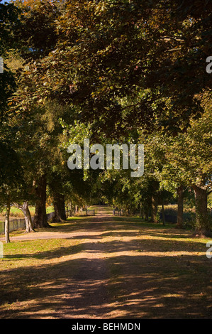 Pathway At Beccles in Suffolk Uk Stock Photo - Alamy