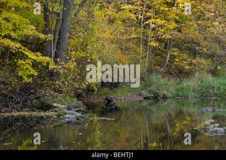Richmond Spring, Backbone State Park, Delaware County, Iowa Stock Photo ...
