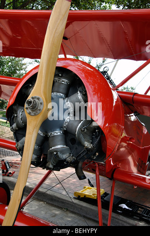 A propeller for fighter triplane Fokker Dr.I, Dark-brown laminated wood ...